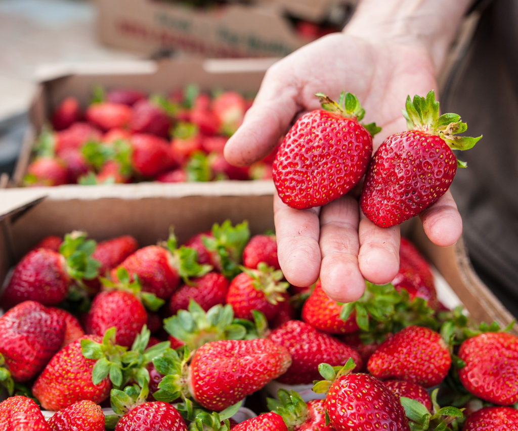 Strawberries – My Country Magic